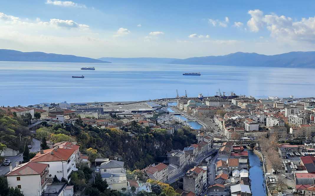 Cognitive Sciences | Rijeka